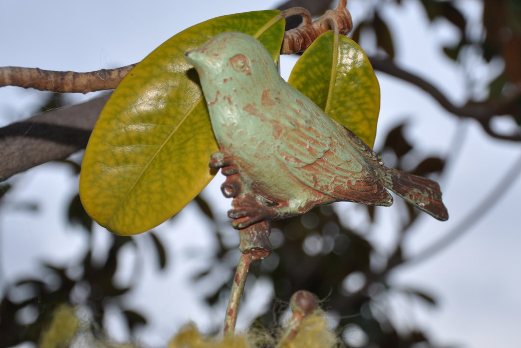 DIY Nesting Wreath – Gardening Nirvana