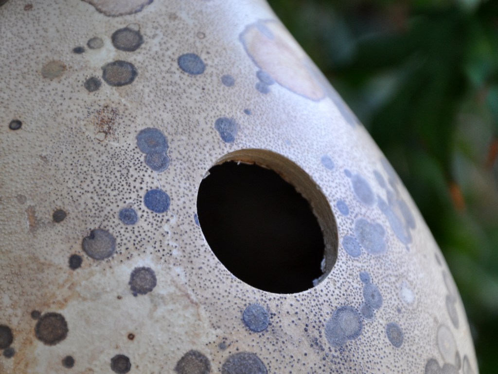 Birdhouse Gourd: Open for Nesting – Gardening Nirvana