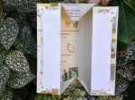 Vintage Box Card: Garden Style – Gardening Nirvana