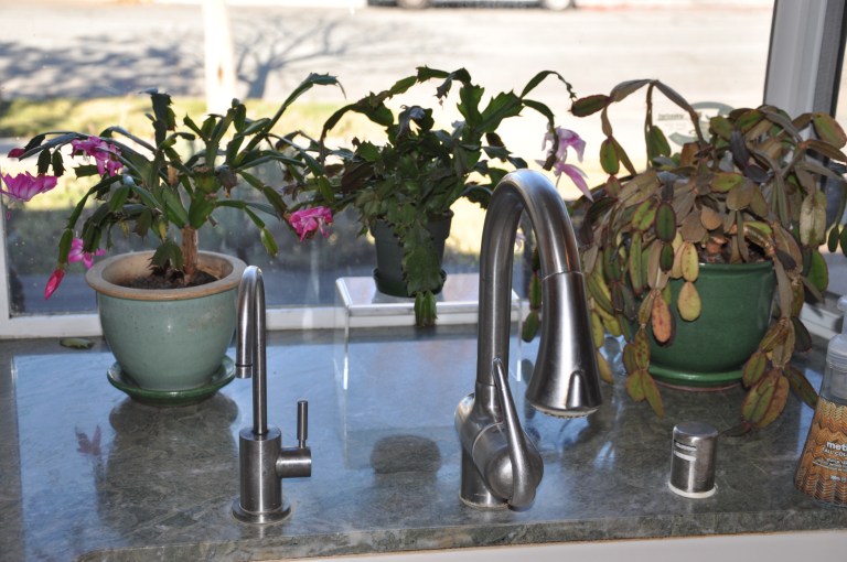 Kitchen Window – Gardening Nirvana