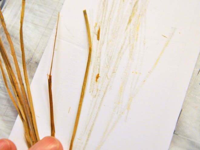 Halloween Cards: Crafting from my Garden – Gardening Nirvana