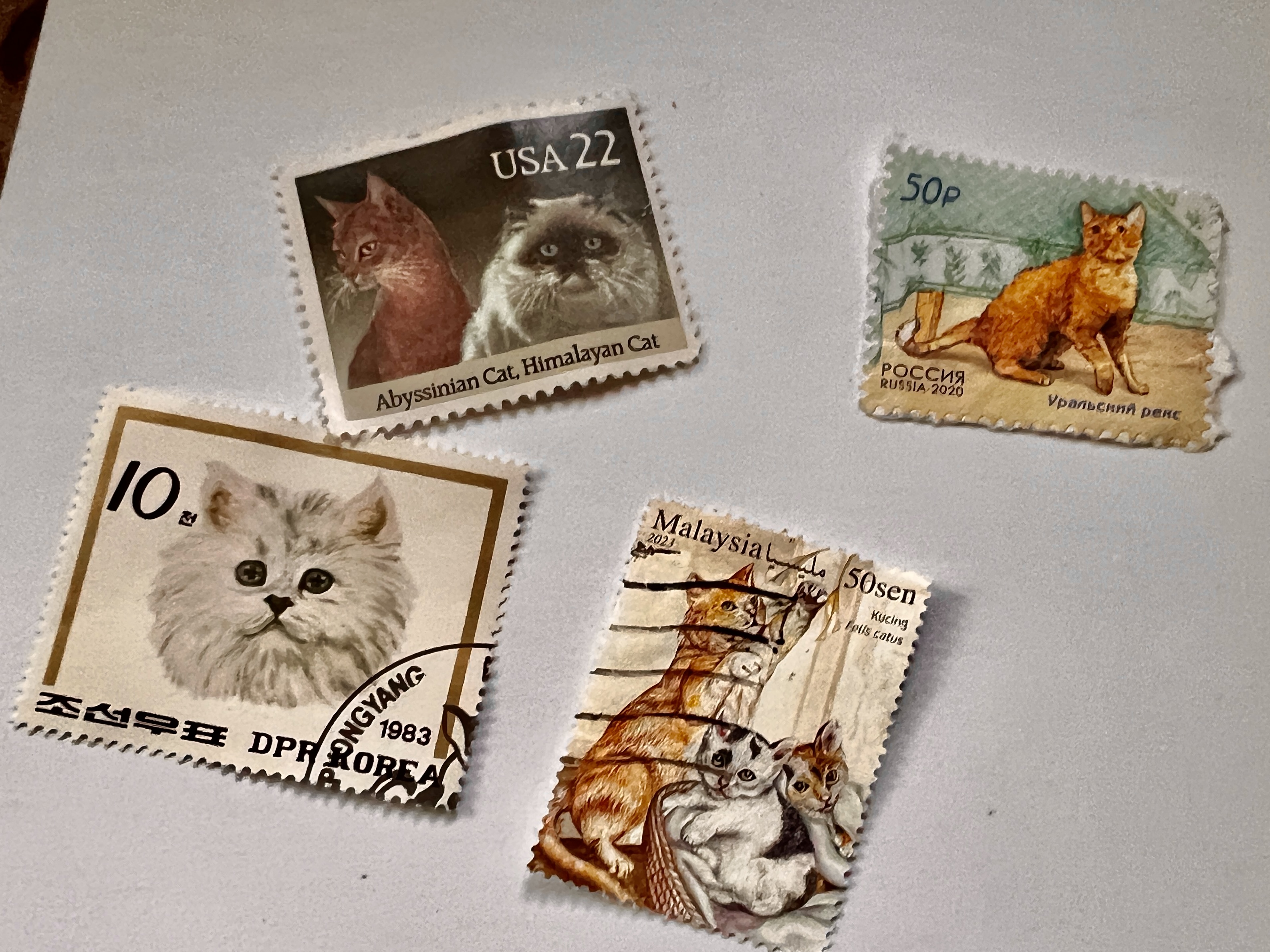 Flowers and Cats, Wild and Domestic: Creating Cards with Postage ...
