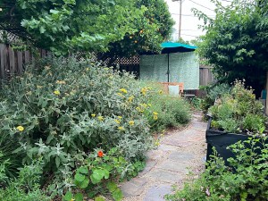 Mid-Week Trifecta at the SF Flower Show – Gardening Nirvana