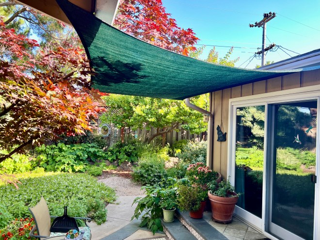 Drooping Flowers and the Hat-Pin Trick – Gardening Nirvana