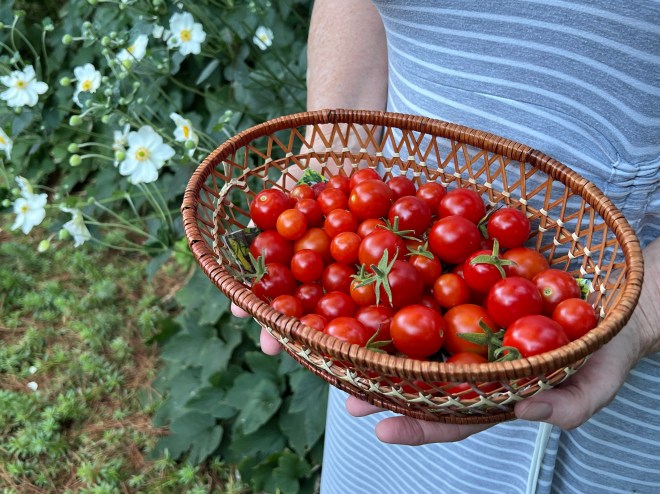 Drooping Flowers and the Hat-Pin Trick – Gardening Nirvana